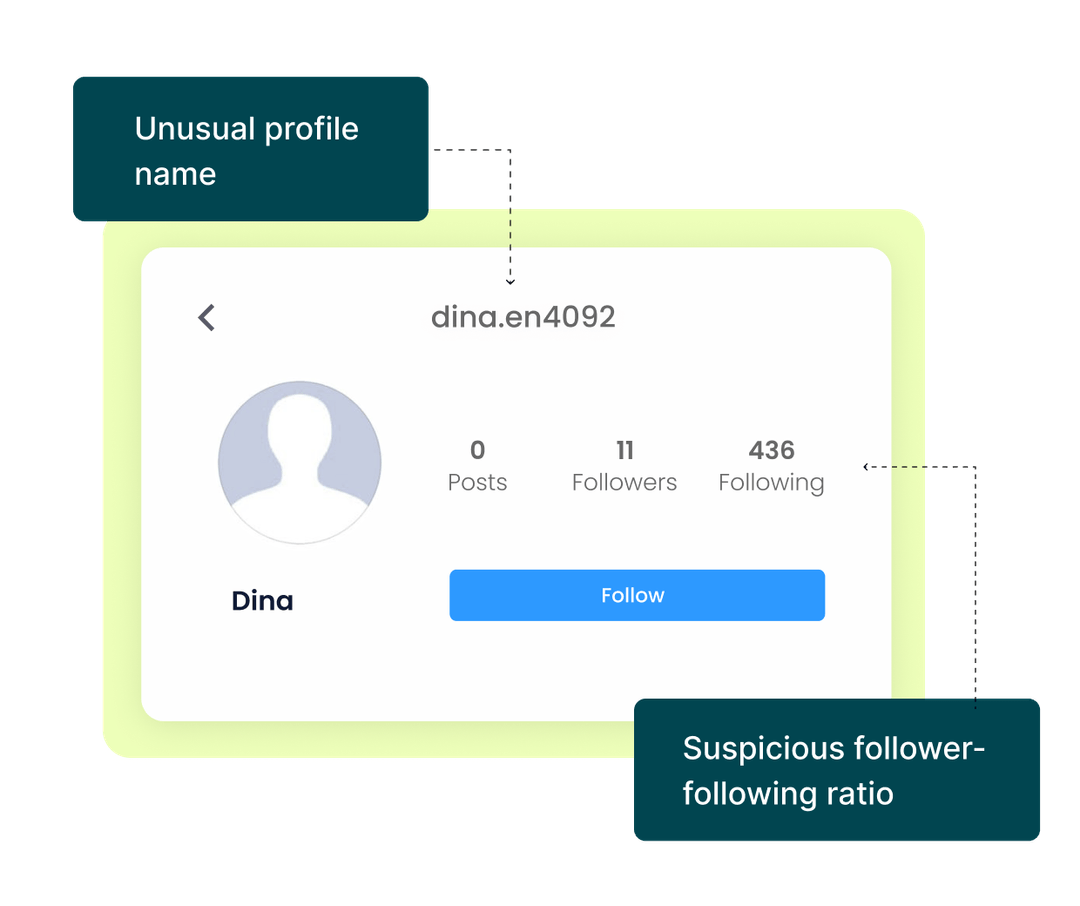 Instagram Fake Follower Check